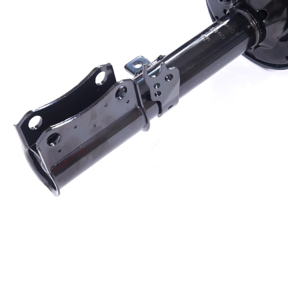 New Pair Complete Rear Left & Right Struts Shock Coil Spring Assembly ...